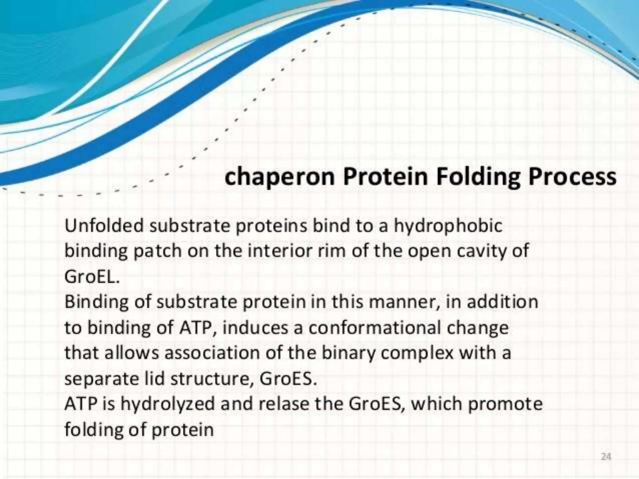 Protein Folding Mechanism | PPTX