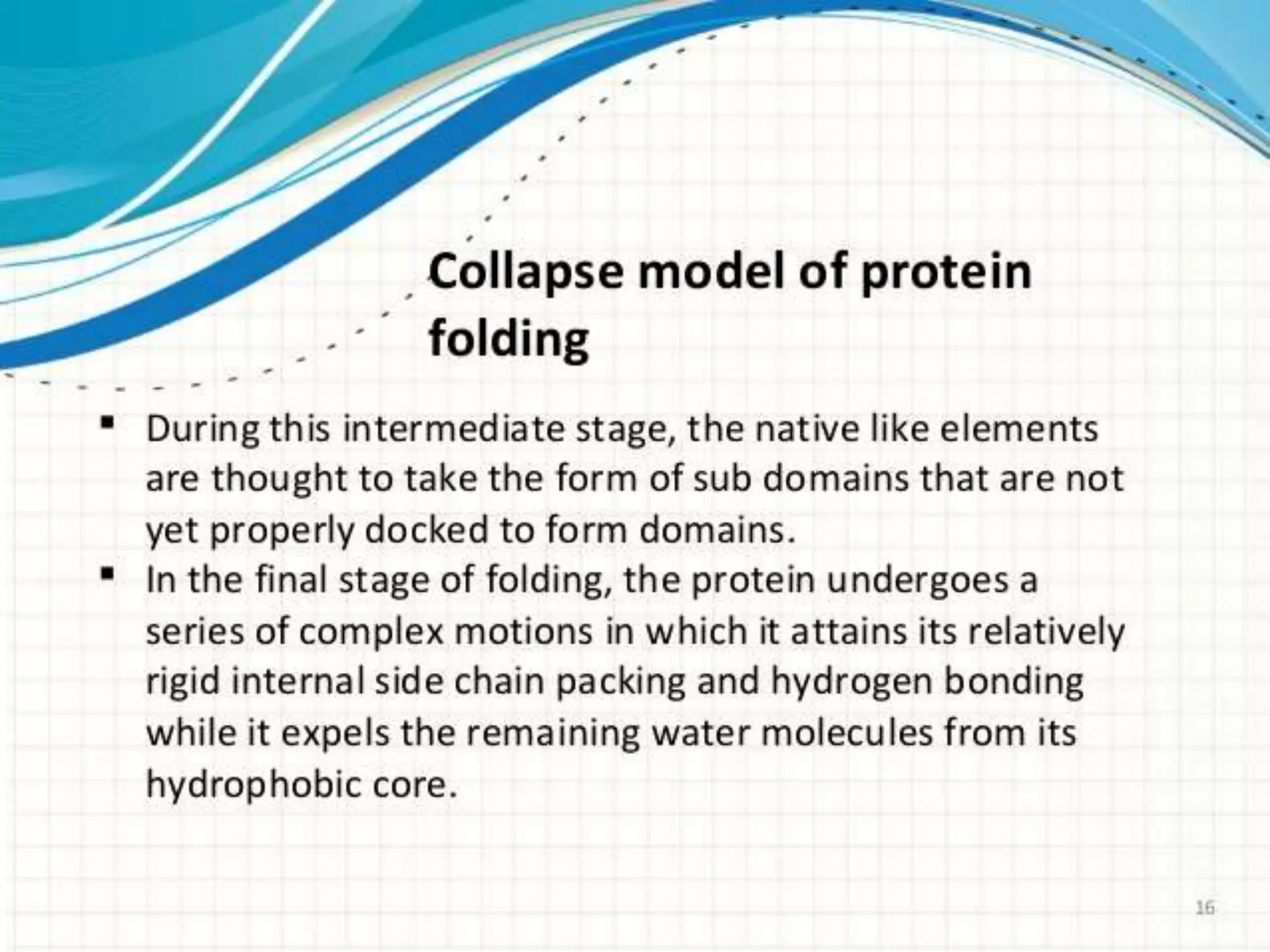 Protein Folding Mechanism | PPTX