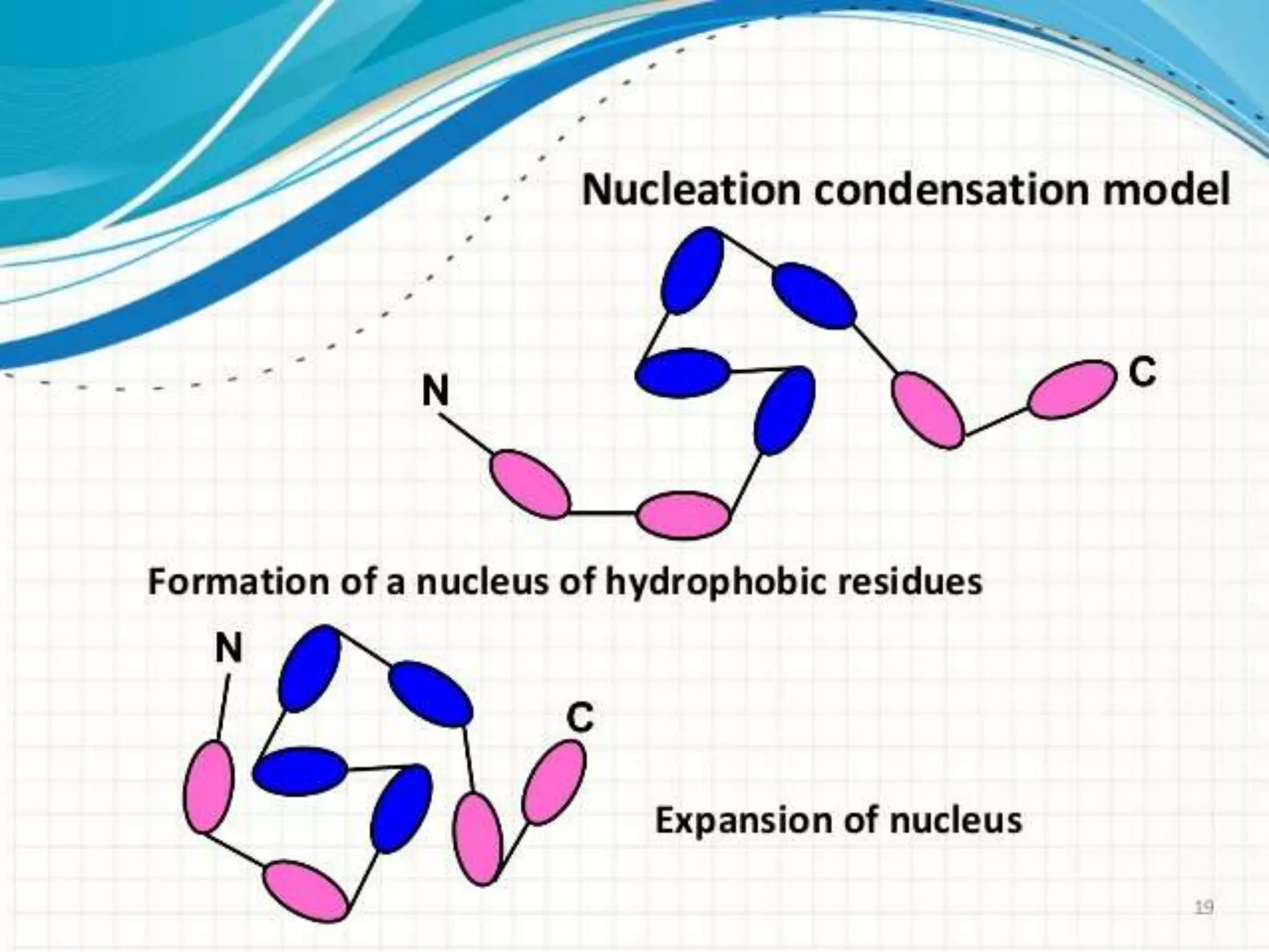 Protein Folding Mechanism | PPTX