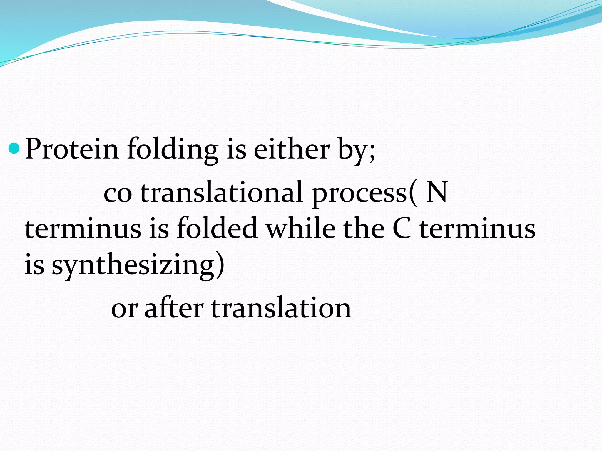 Protein Folding Mechanism | PPTX