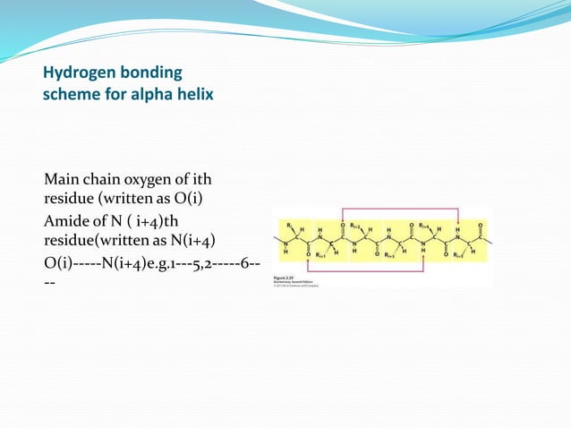 Protein Folding Mechanism | PPTX | Chemistry | Science