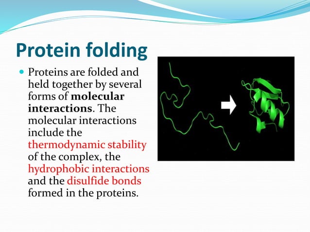 Protein Folding Mechanism | PPTX | Chemistry | Science