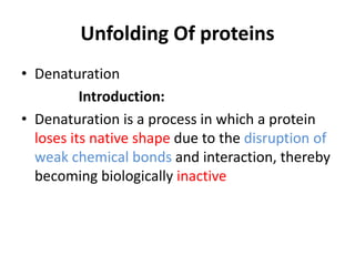 Protein Folding Mechanism | PPTX