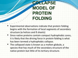 Protein folding slids | PPT