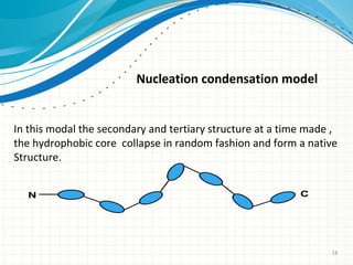 Protein folding slids | PPT