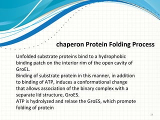 Protein folding slids | PPT