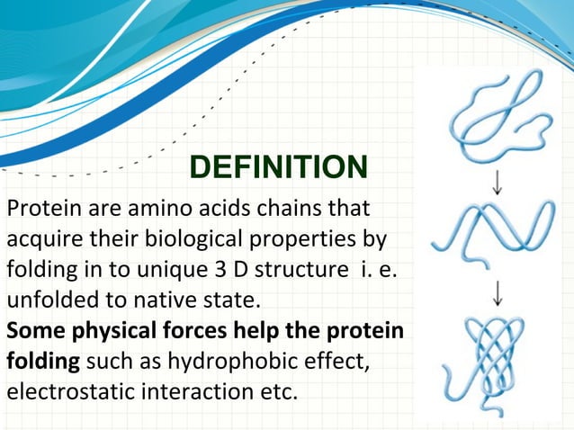 Protein folding slids | PPT | Chemistry | Science