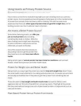 Using Insects as Primary Protein Source