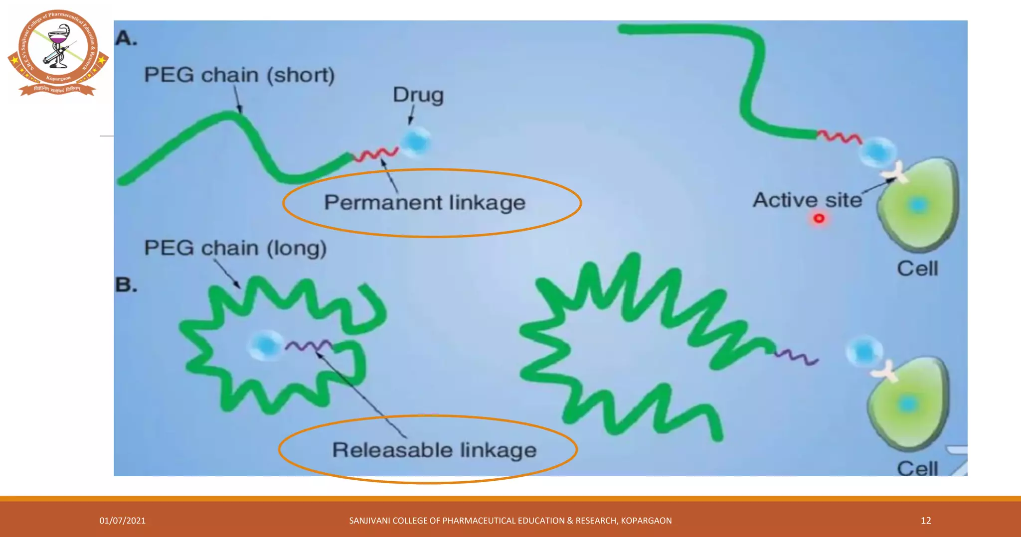 Protein formulation by PEGylation | PDF