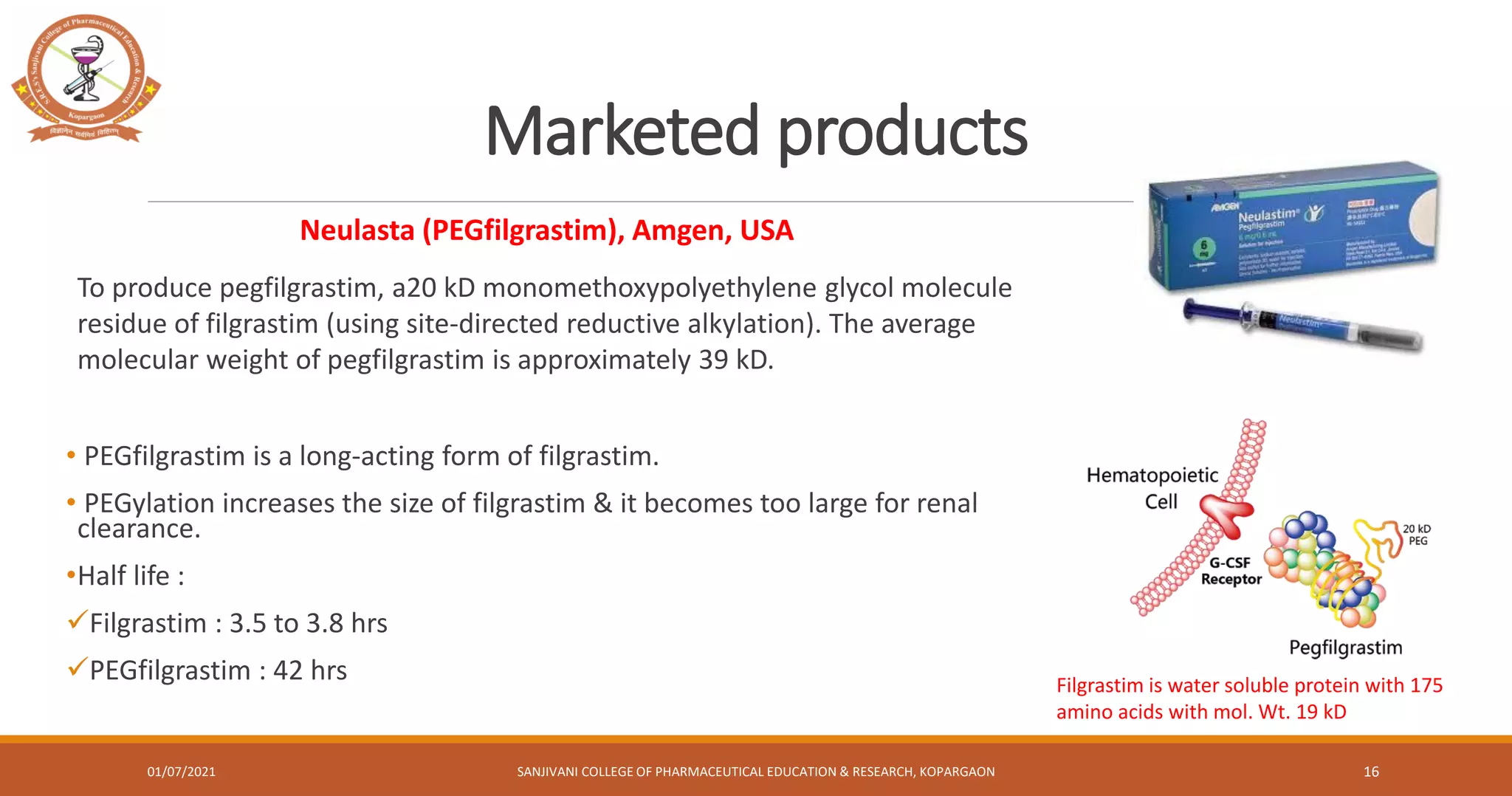 Protein formulation by PEGylation | PDF