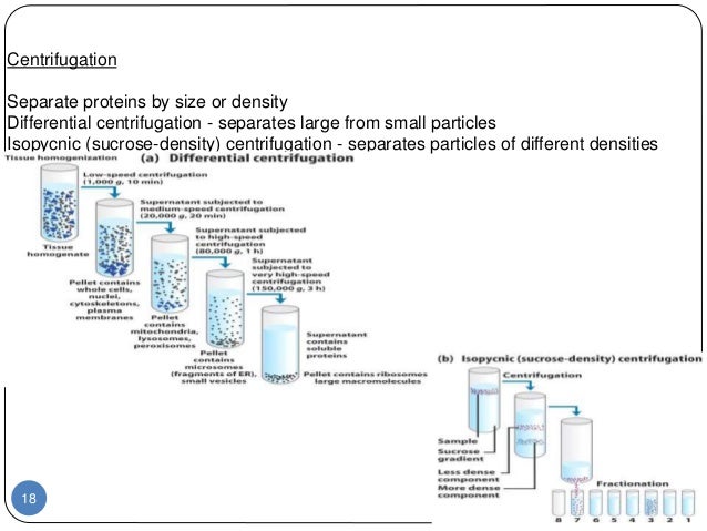 Protein fractionation
