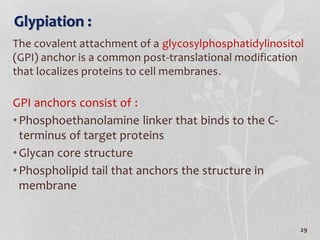 Protein glycosylation and its associated disorders | PPTX
