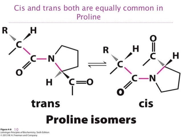 Protein structure