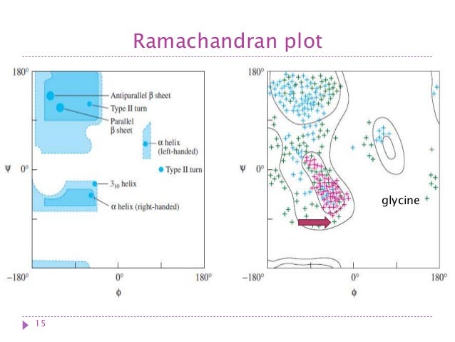 Protein structure