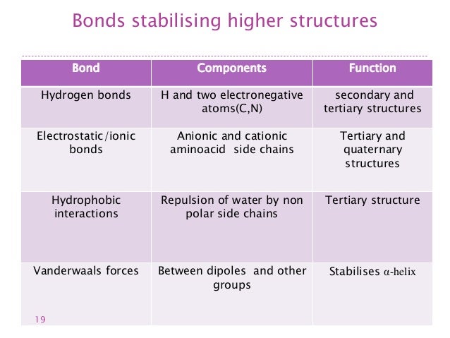 Secondary Structure Of Protein Bonds