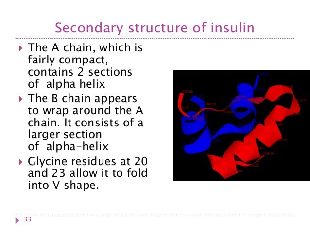 Tertiary Structure Of Insulin