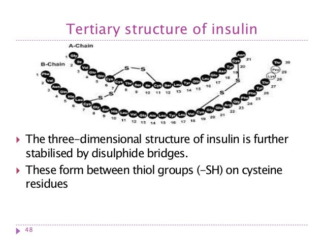 Tertiary Structure Of Insulin