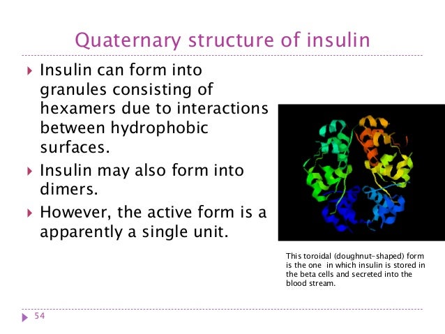 Tertiary Structure Of Insulin