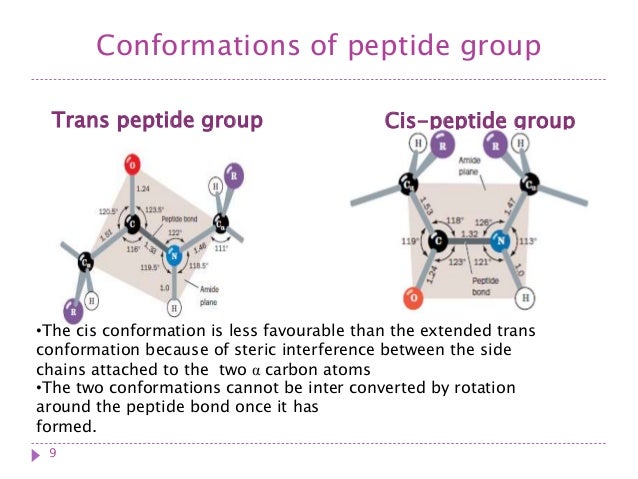Protein structure