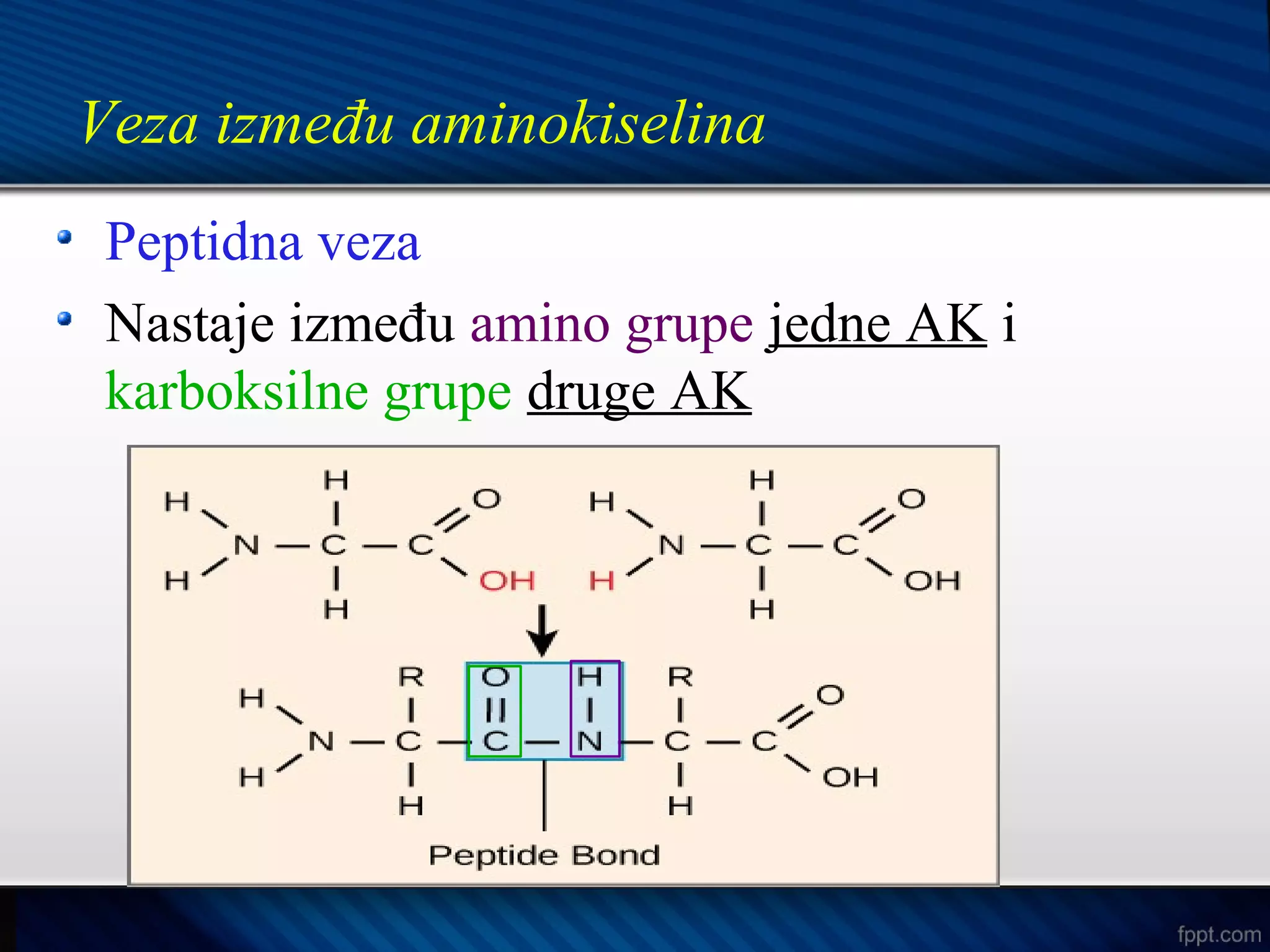 Proteini | PPT