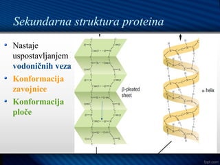 Proteini | PPT