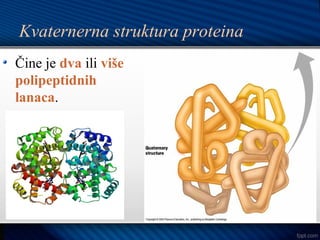Proteini | PPT