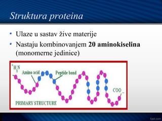 Proteini | PPT