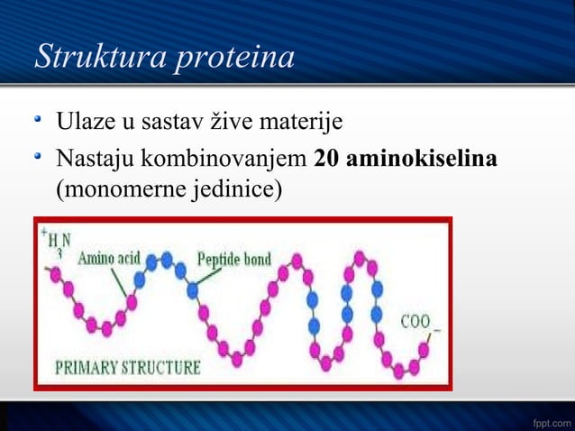 Proteini | PPT