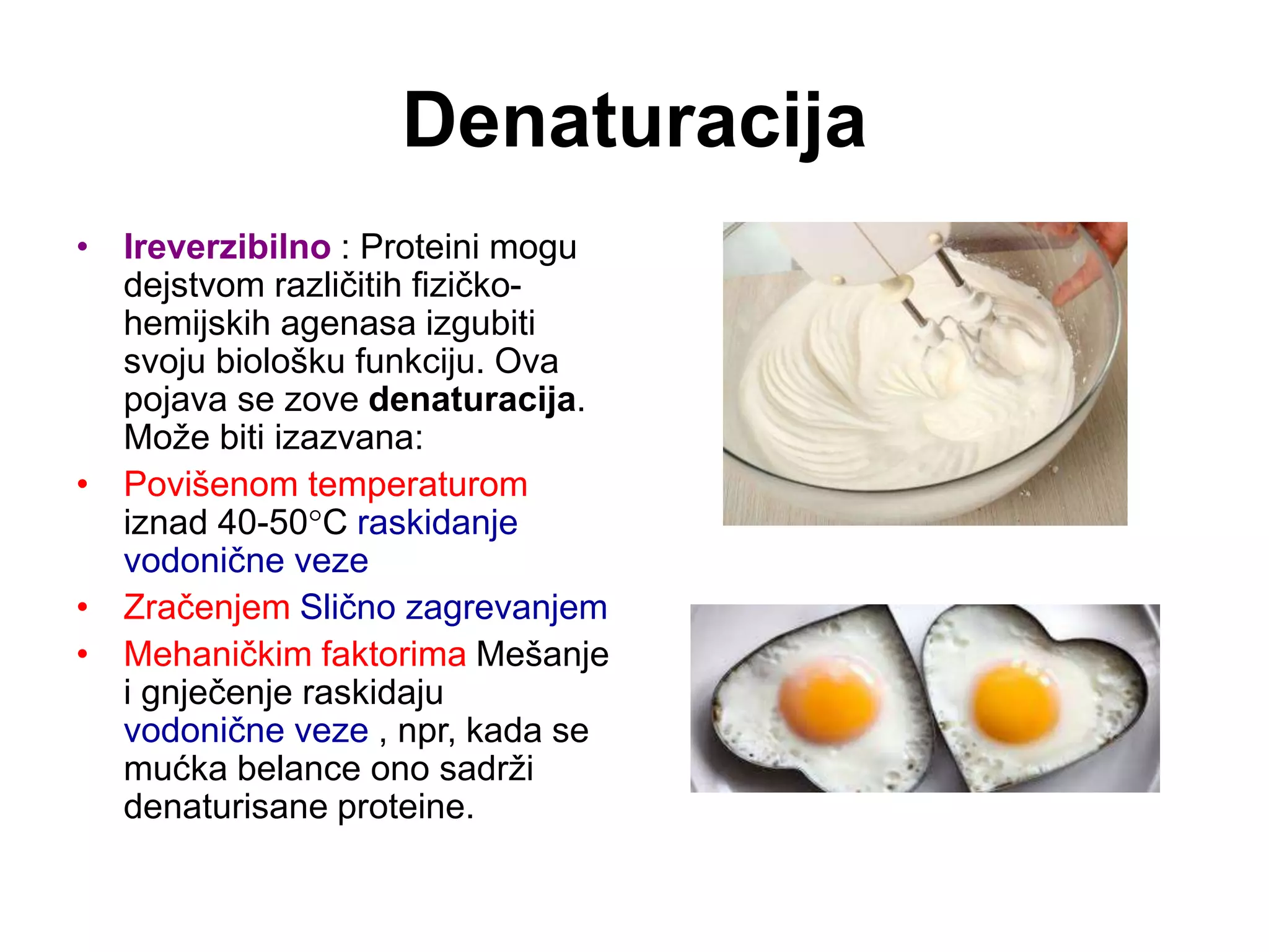 PROTEINI.ppt