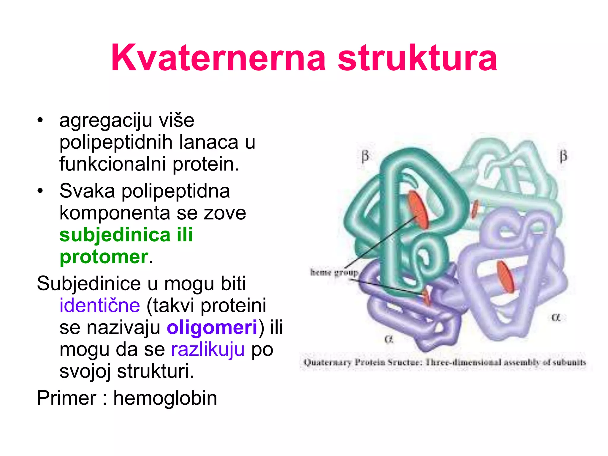 PROTEINI.ppt
