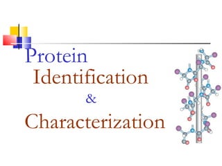 Protein identication characterization | PPT
