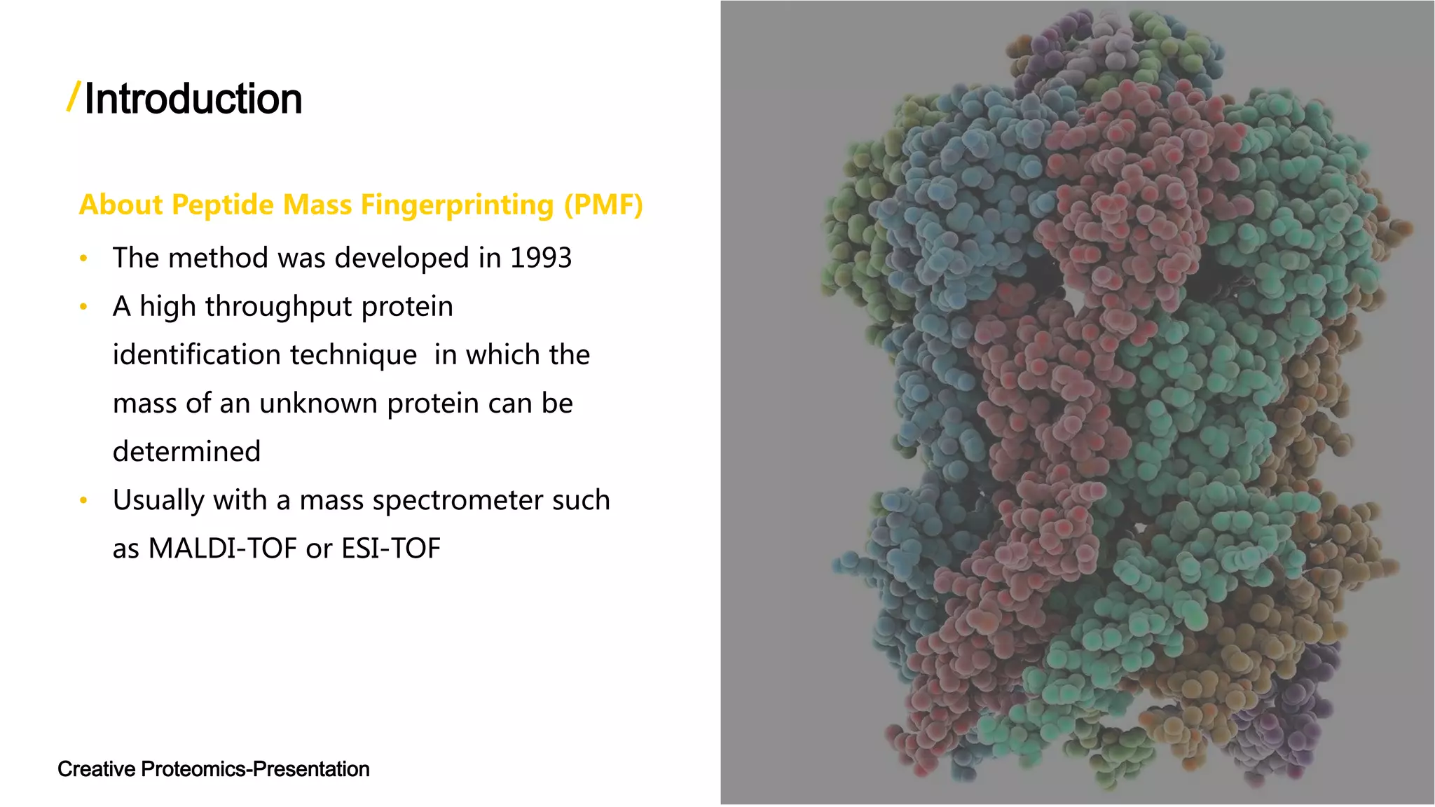 Protein identification - peptide mass fingerprinting | PPTX