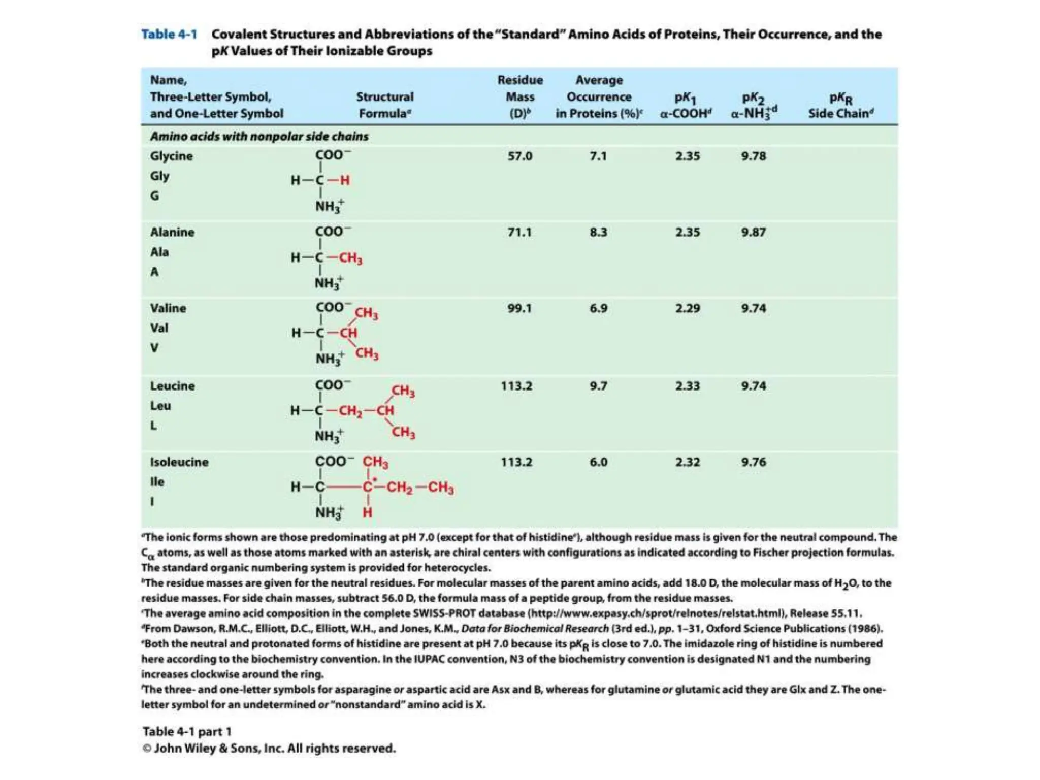 "Powerful Protein: Unveiling Nature's Building Blocks" | PPT