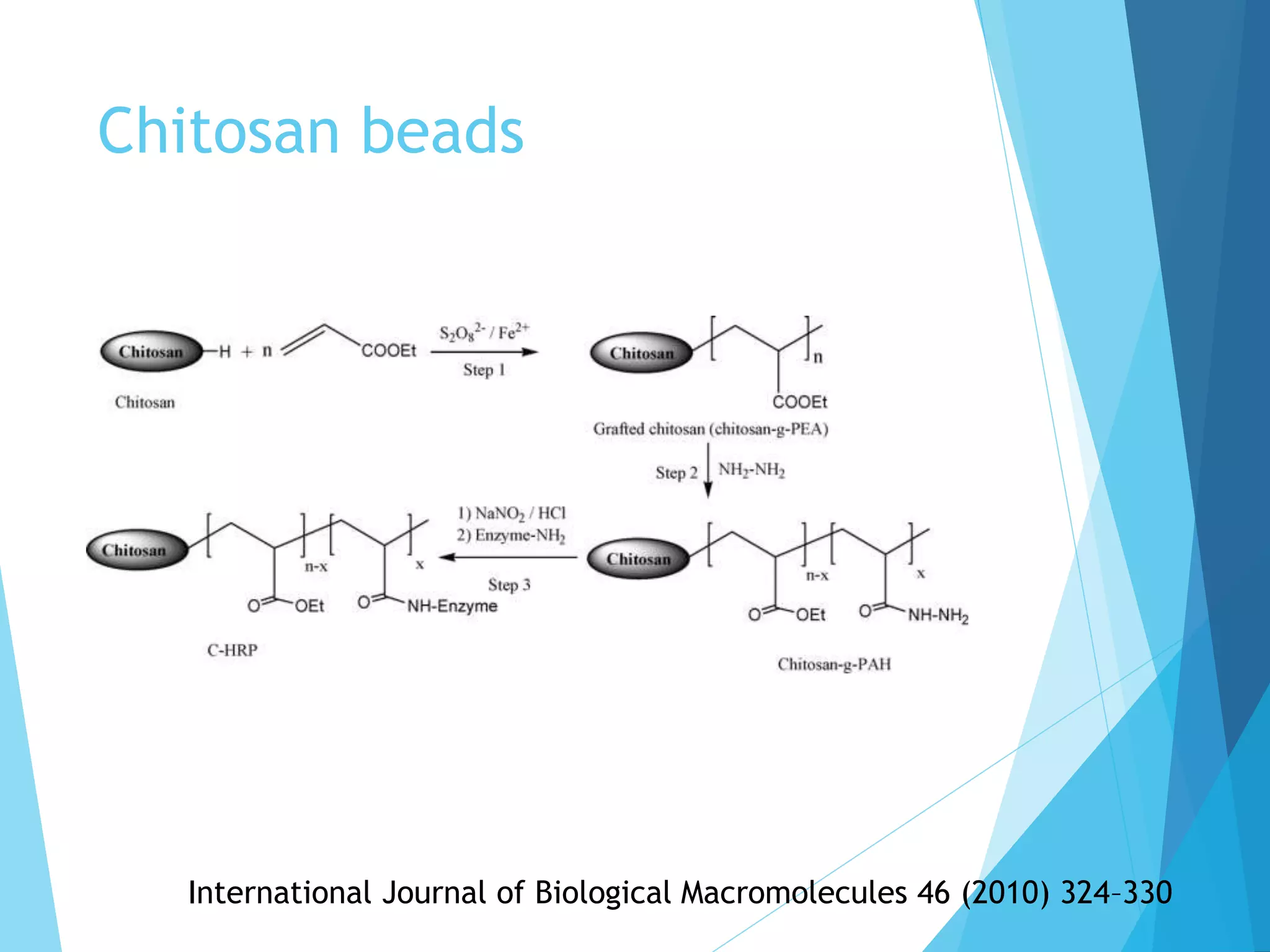 Protein Immobilization.pptx