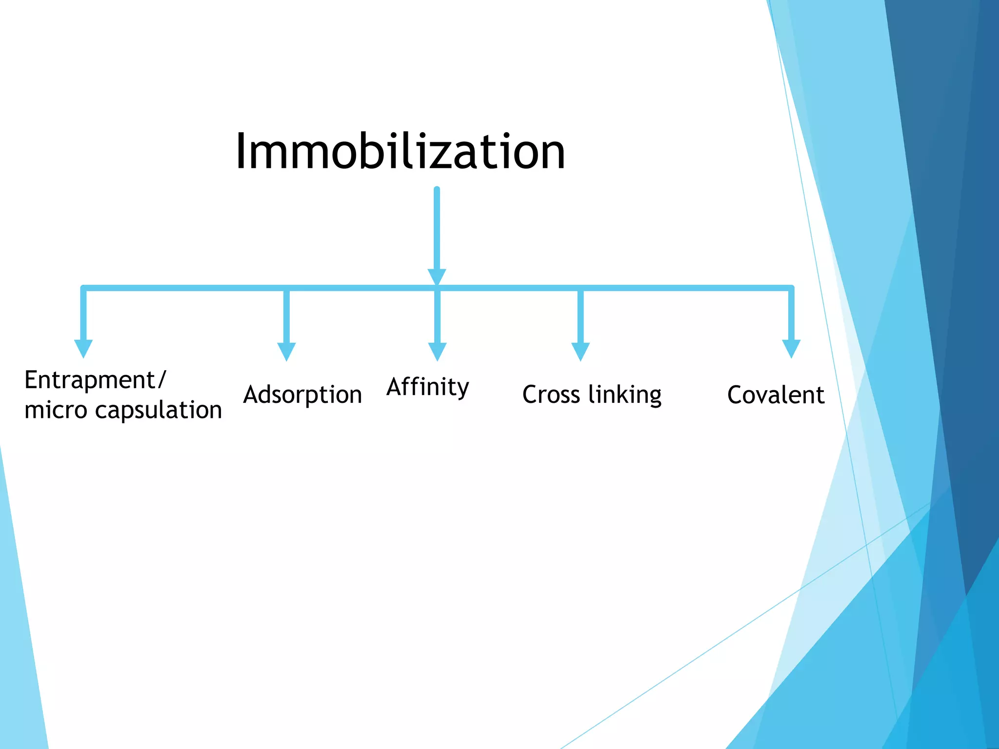 Protein Immobilization.pptx