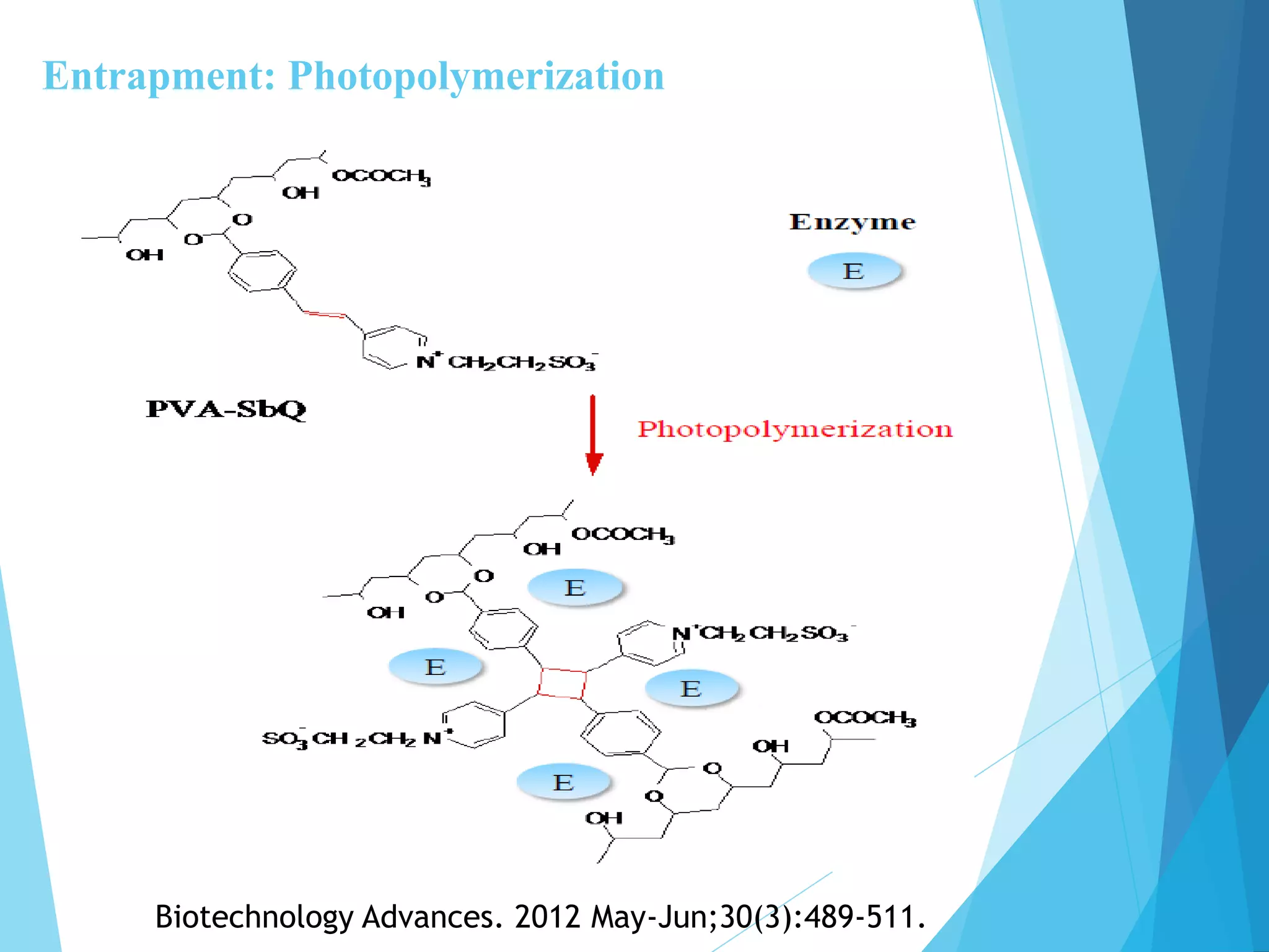 Protein Immobilization.pptx