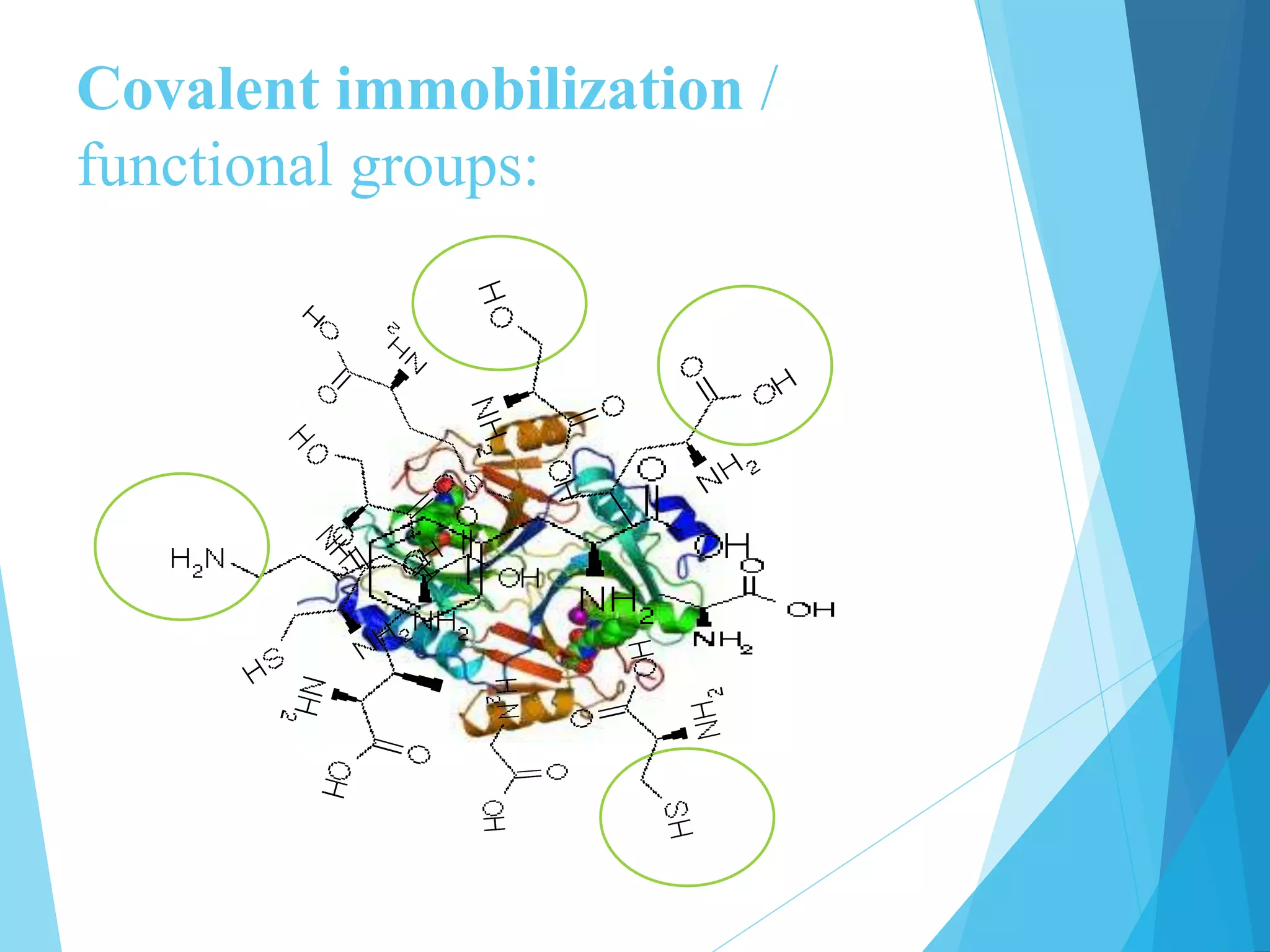 Protein Immobilization.pptx