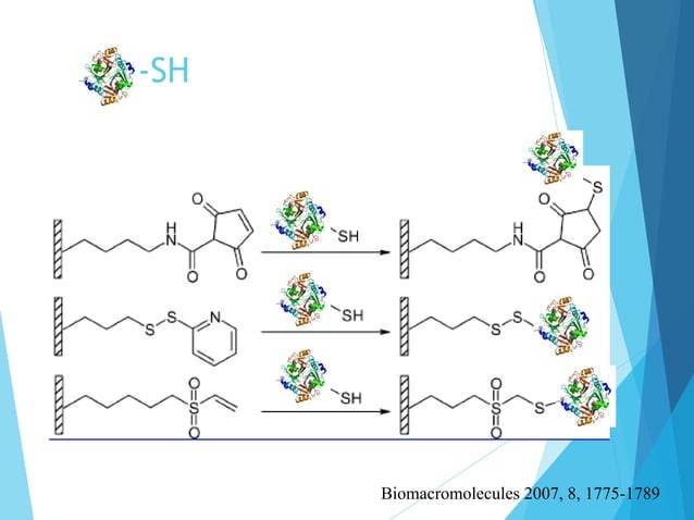 Protein Immobilization.pptx