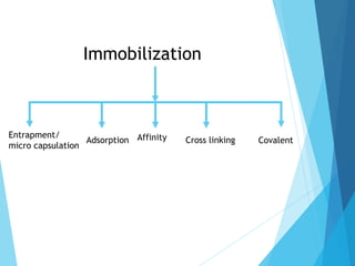 Protein Immobilization.pptx