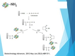 Protein Immobilization.pptx
