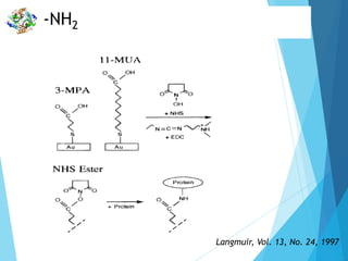 Protein Immobilization.pptx