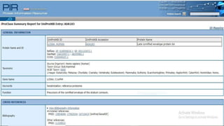 Protein information resource (PIR) | PPTX