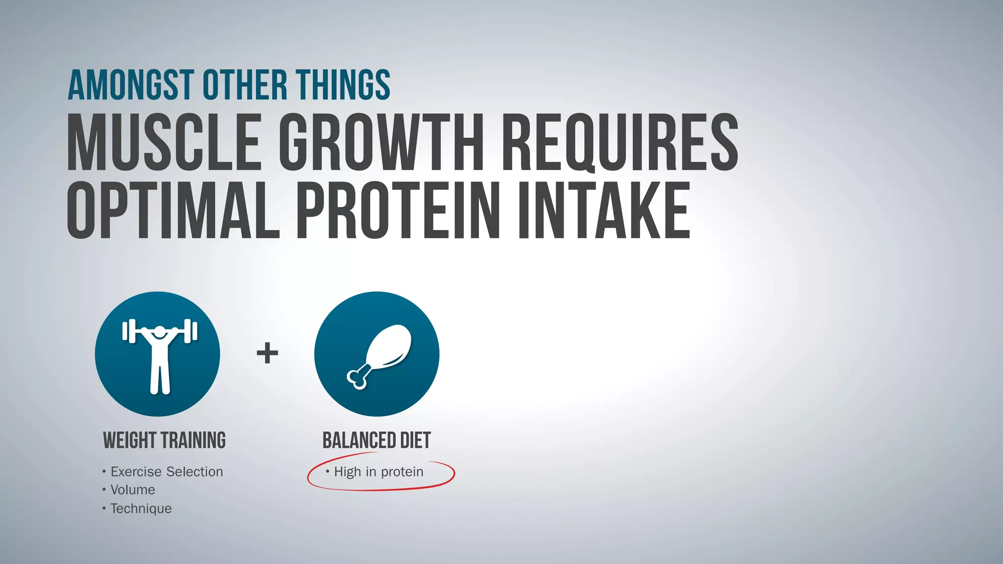Protein intake: the 1g/lb myth. | PDF