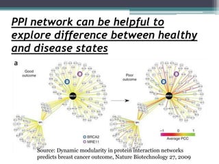 overview of the protein protein interaction | PPT