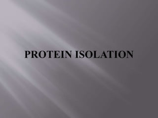 Protein isolation | PPTX