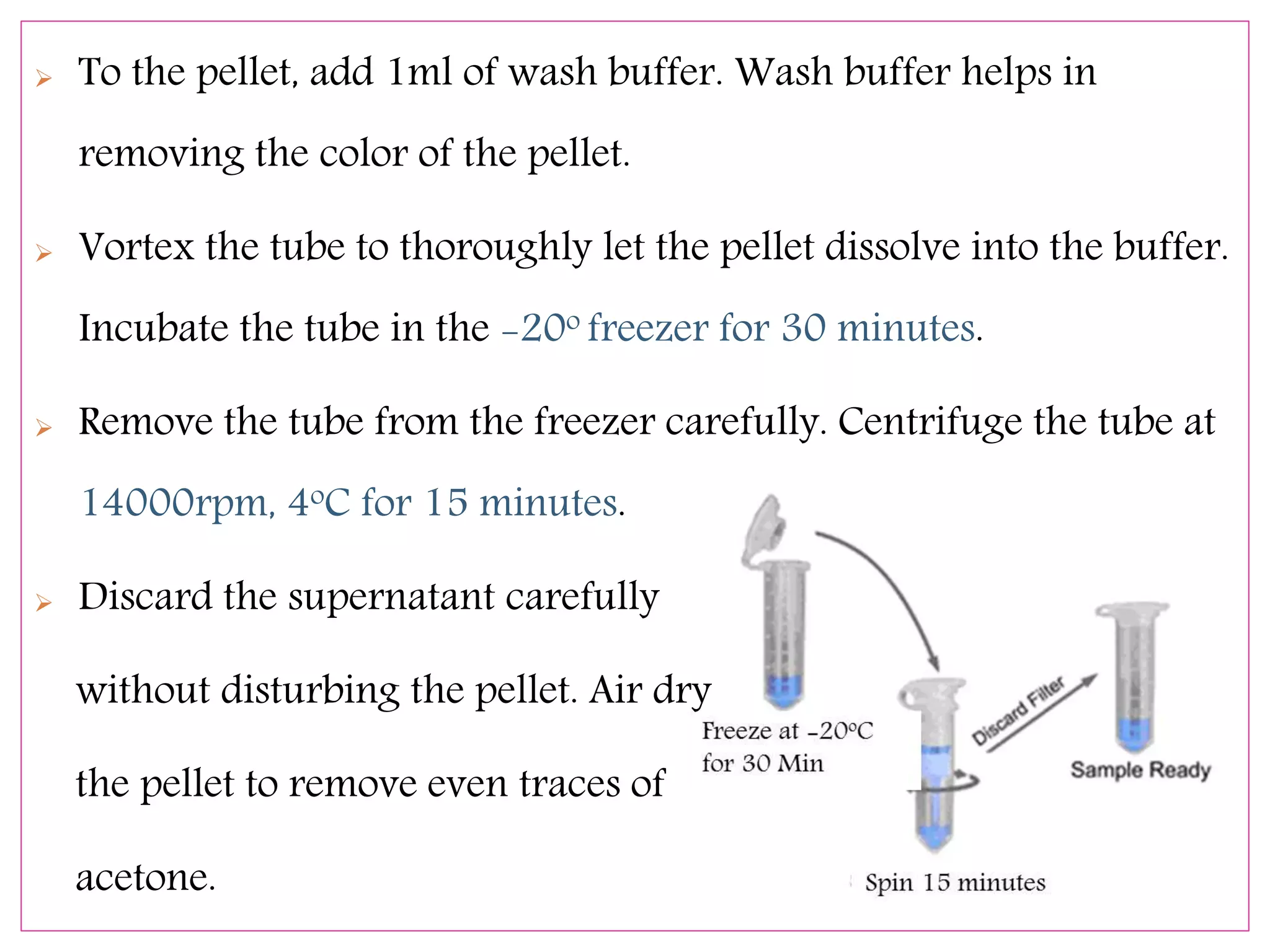 Protein isolation and quantification | PPTX