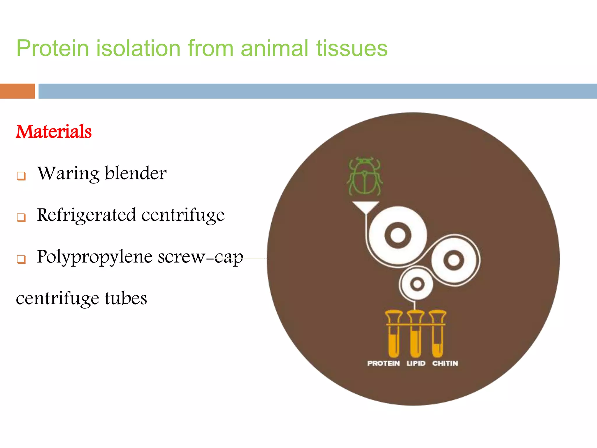 Protein isolation and quantification | PPTX