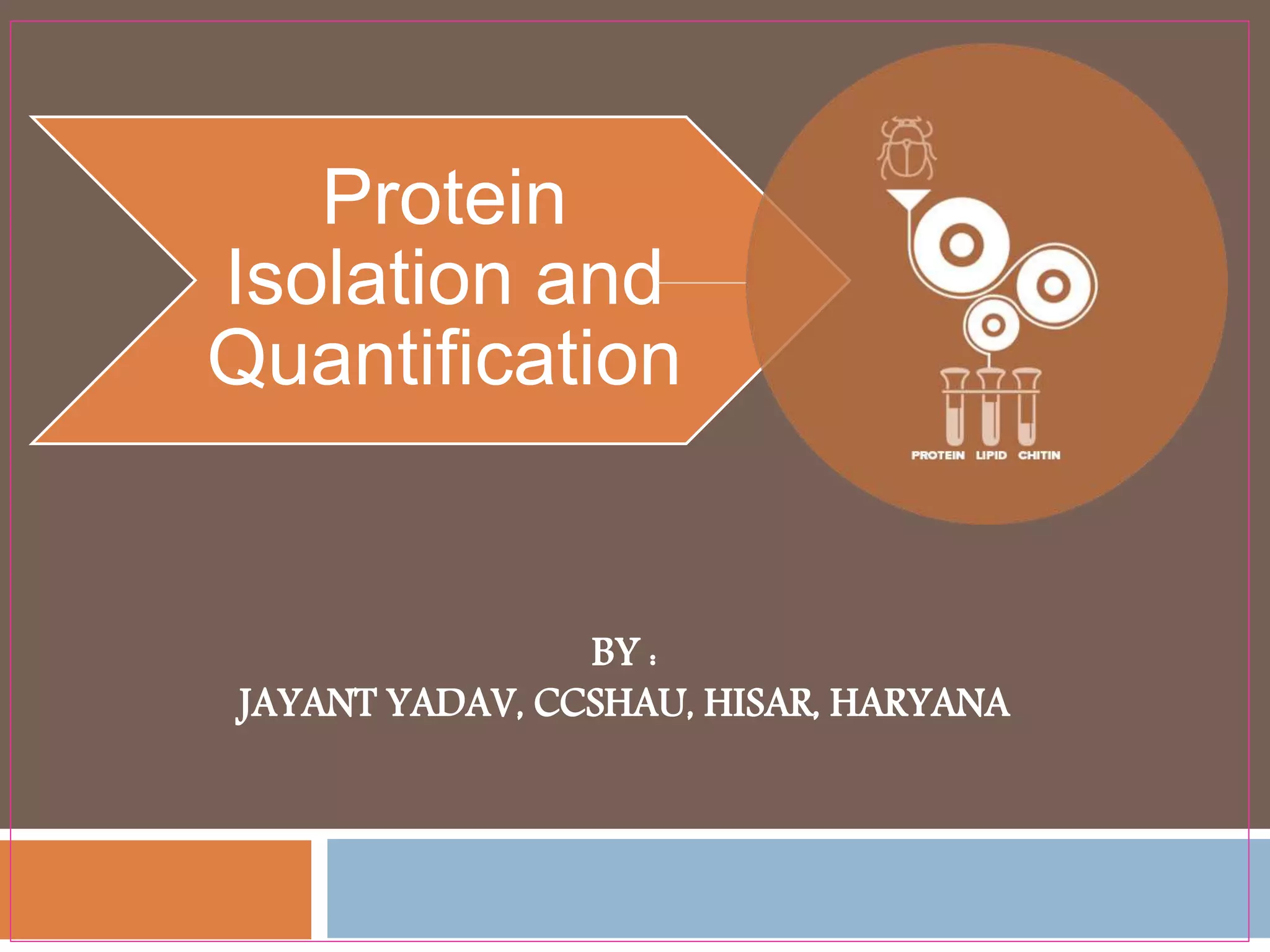 Protein isolation and quantification | PPTX