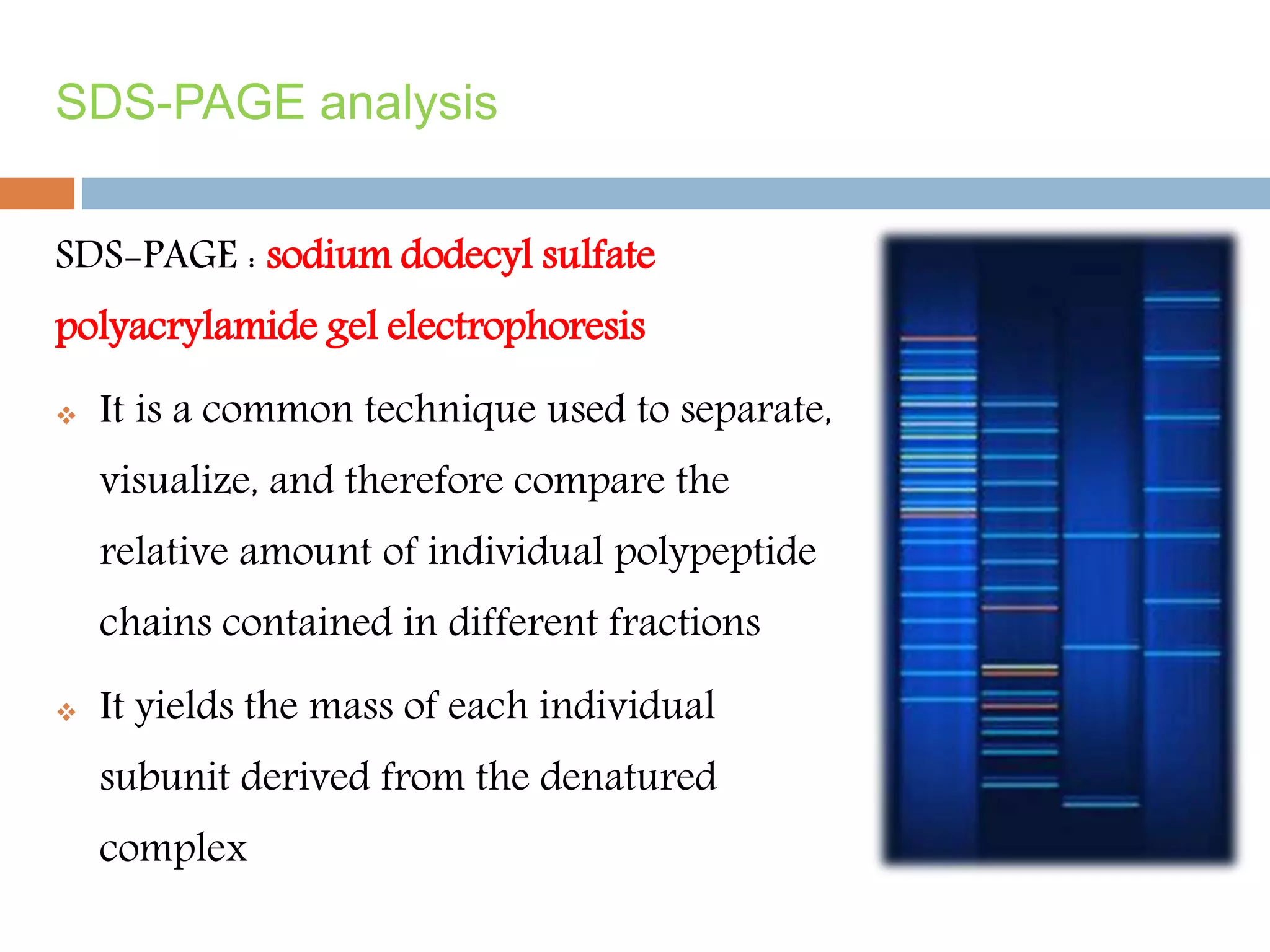 Protein isolation and quantification | PPTX
