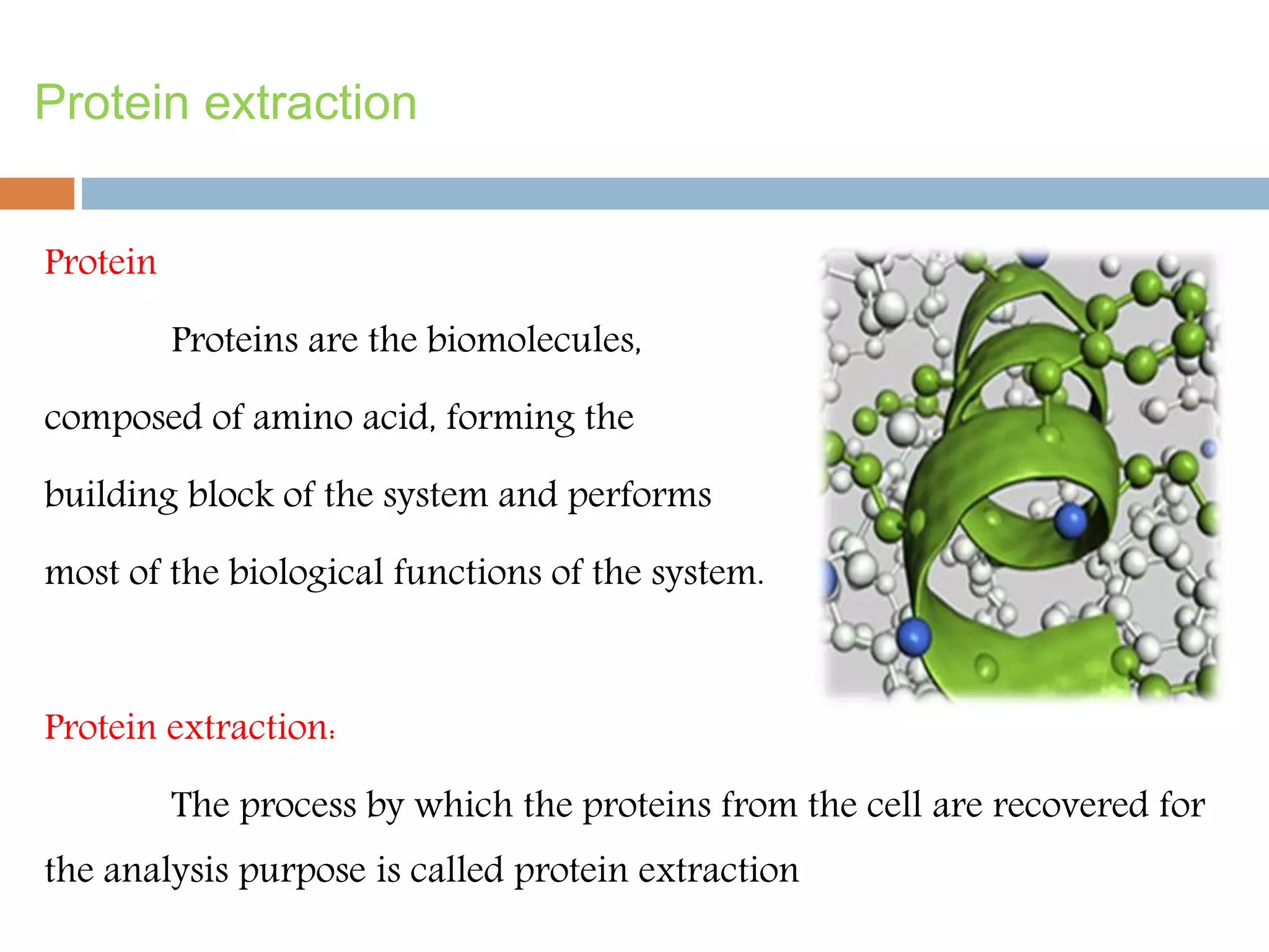 Protein isolation and quantification | PPTX